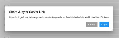 Handle Servers Started With Jupyter Server Proxy · Issue 1