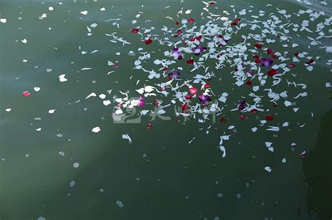 骨灰撒海需要多少费用把骨灰撒入大海需要什么手续 知乎