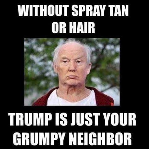 Grumpy Trumpy Rpoliticalhumor