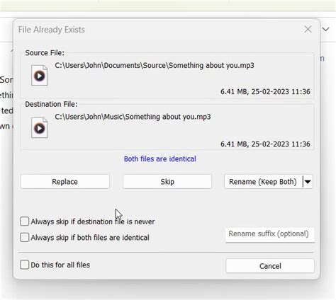 Auto Rename Files Having Duplicate Names In Windows Using Copywhiz