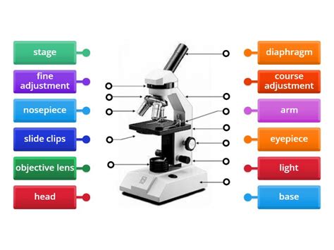 Microscope Labeling Labelled Diagram