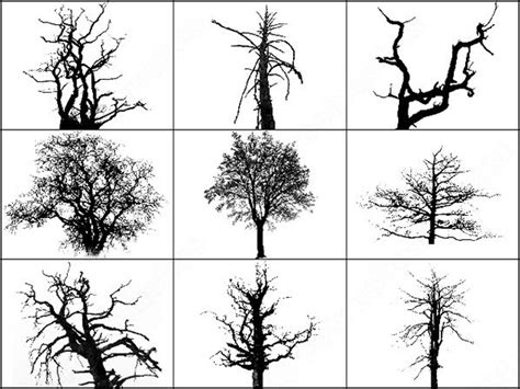 Dead Trees Brush Ps Brushes In Abr Format Free And Easy Download