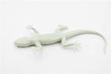 Gecko Leaf Toed Gecko Lizard Reptile Rubber Toy Realistic