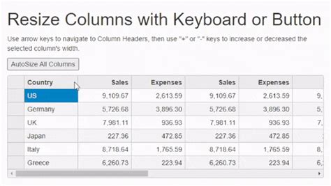 How To Resize Javascript Datagrid Columns Using Your Keyboard Wijmo
