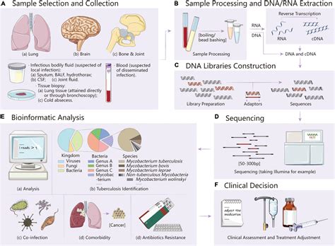 Next Generation Sequencing Workflow