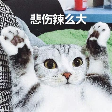 晕车的生理原因是什么晕车怎么办 知乎
