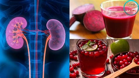 ភេសជ្ជៈដែលត្រូវបានគេដឹងថាជួយសម្អាតតម្រងនោម ដែលអ្នកគួរតែសាកល្បងញ៉ាំ