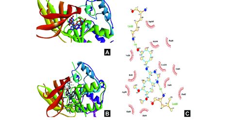 A Superposition Of Ligand In The Protein Ligand Complex Obtained By