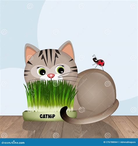 Illustration Of With Catnip Plant Stock Illustration Illustration Of