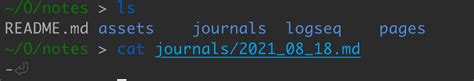 Daily Journal Dont Auto Sync To Local Markdown File With Version 033 · Issue 2678 · Logseq