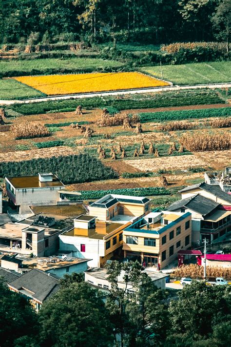 Rural Village Surrounded By Agricultural Fields And Trees Photo Free