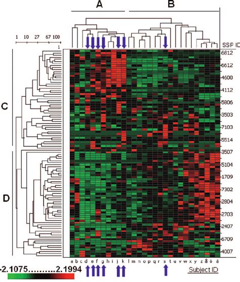hierarchical clustering of the set of 100 differentially expressed ssp