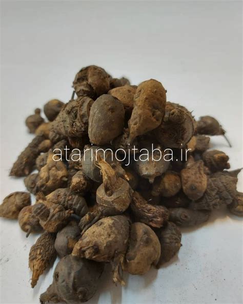 سعد کوفی 180 گرمی عطاری آنلاین مجتبی محقق