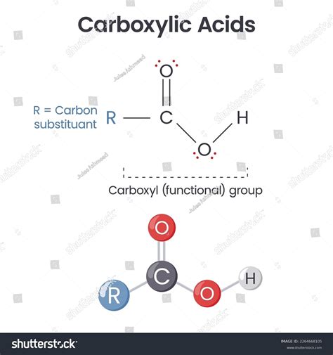 Carboxylic Acid Chemical Functional Group Scientific Stock Vector Royalty Free 2264668105