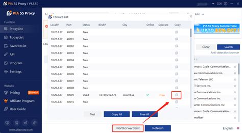 Google Chrome Settings With Pia S Proxy PIA S Proxy