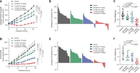 Development Of An Orally Bioavailable Cdk12 13 Degrader And Induction