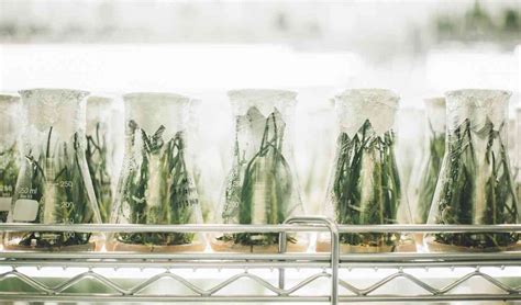 How To Use Gitlabs Cicd Pipeline Templates Gitlab