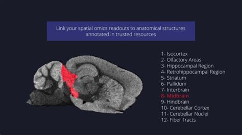 Aspect Analytics On Linkedin Spatial Multi Omics Data Analysis Made Easy 44