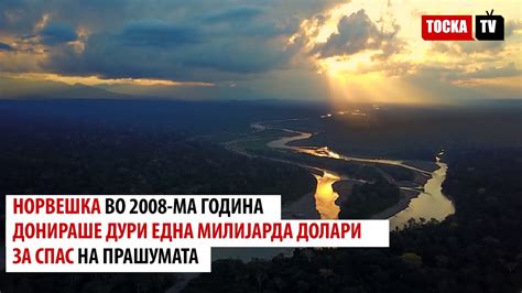 Неверојатни факти за Амазонија кои веројатно не сте ги знаеле Youtube