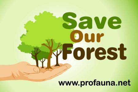 What Can You Do To Help Forest Conservation In Indonesia PROFAUNA