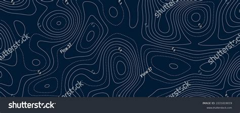 Contour Map Background Vector Geography Scheme Stock Vector Royalty