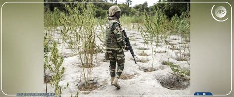 Centrafrique Un Militaire Sénégalais De La Minusca Tué Dans Un