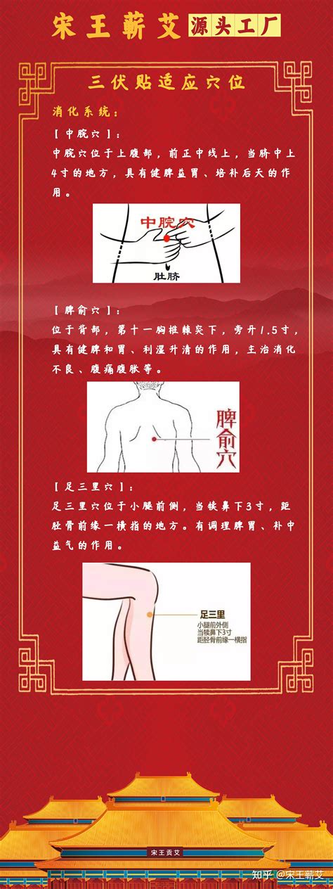 三伏天三伏灸养生必用的穴位 知乎