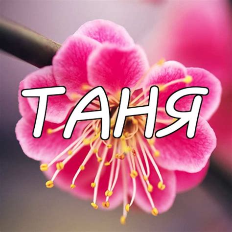 Картинки таня (50 фото)