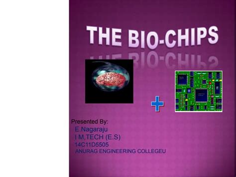 Biochipsppt