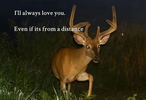 For You The One I Love — On Your Birthday Io By Deacima Jul 2025 Medium