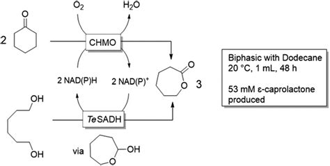 生物催化反应中溶剂体系的选择 技术邻