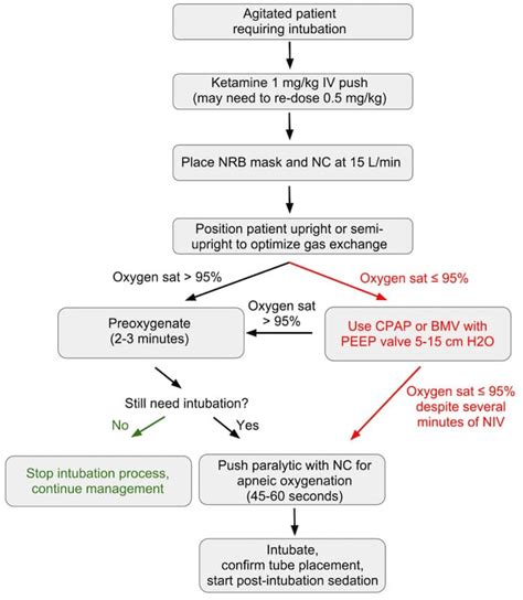 Preoxygenation And Delayed Sequence Intubation Emergency Medicine Cases