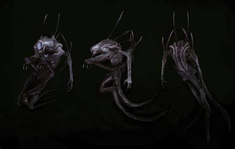 These New Evolve Screens Are All About The Wraith Vg247