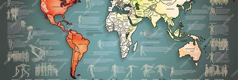 Comprehensive Guide To Human Skeleton High Resolution Diagram Labeling