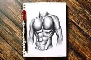 Abs Drawing Create A Muscular Drawing Of Abs