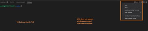 Cannot Integrate Windows Command Line And Ubuntu Wsl Terminal Rvscode
