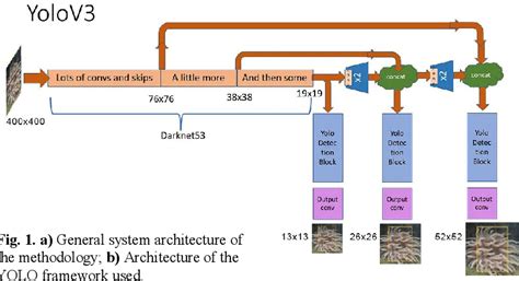 Figure 1 From Deep Learning Based Marine Species Detection And Classification Framework For