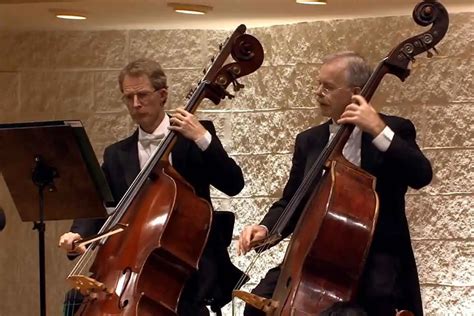 Orchestra String Instruments Phamox Music