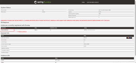 探索springcloud 二（服务注册和发现）instances Currently Registered With Eureka 但是找