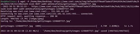 How To Download A File On Ubuntu Linux Using The Command Line