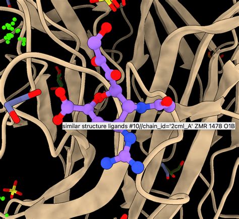 Chimerax Structure Visualization