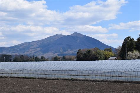 【60代以上の男性が選ぶ】「茨城県」でイケてると思う街ランキングtop26！ 第1位は「つくば市」【2024年最新投票結果】（16