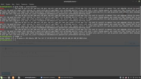 Issue Kernel Dies When Fitting Pytorch Model Linux Mint Pytorch Forums
