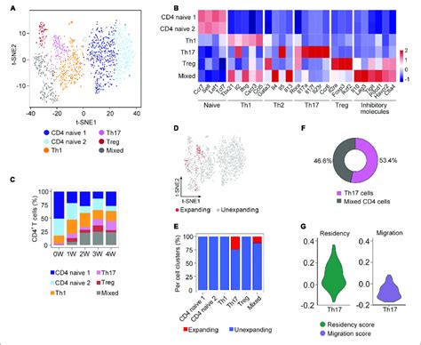 Sub Clustering Analysis Of Clonal Cd4 T Cells A T Sne Plot Of