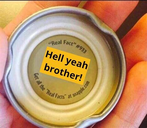 Hell Yeah Brother Rhellyeahbrother