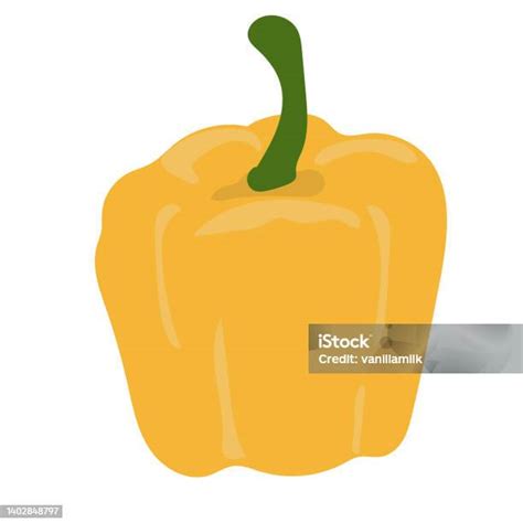 후추 신선한 낙서 야채 수확 비건 채식 음식 농장 아이콘 요소 건강한 생활방식에 대한 스톡 벡터 아트 및 기타 이미지 건강한