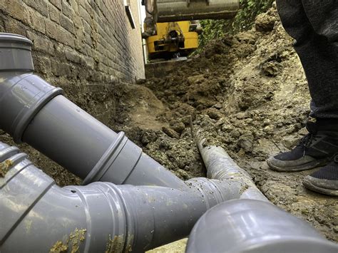 7 Signs You Have A Damaged Sewer Line Maryland Plumbing Services