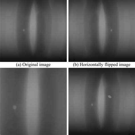 The Images Before And After Data Augmentation A Original Image B