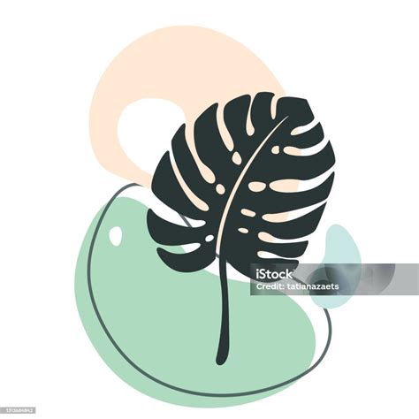 열대 식물 벡터 세트와 추상적인 유기 모양 최소한의 예술 디자인 유체 기하학적 형태 점 및 선이 있는 단풍 드로잉 0명에 대한 스톡 벡터 아트 및 기타 이미지 Istock