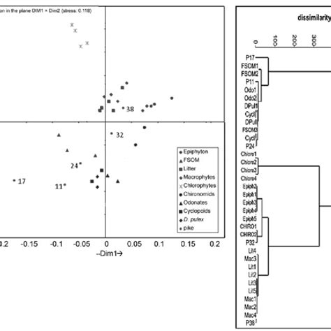 Agglomerative Hierarchical Clustering Analysis Right And Download Scientific Diagram